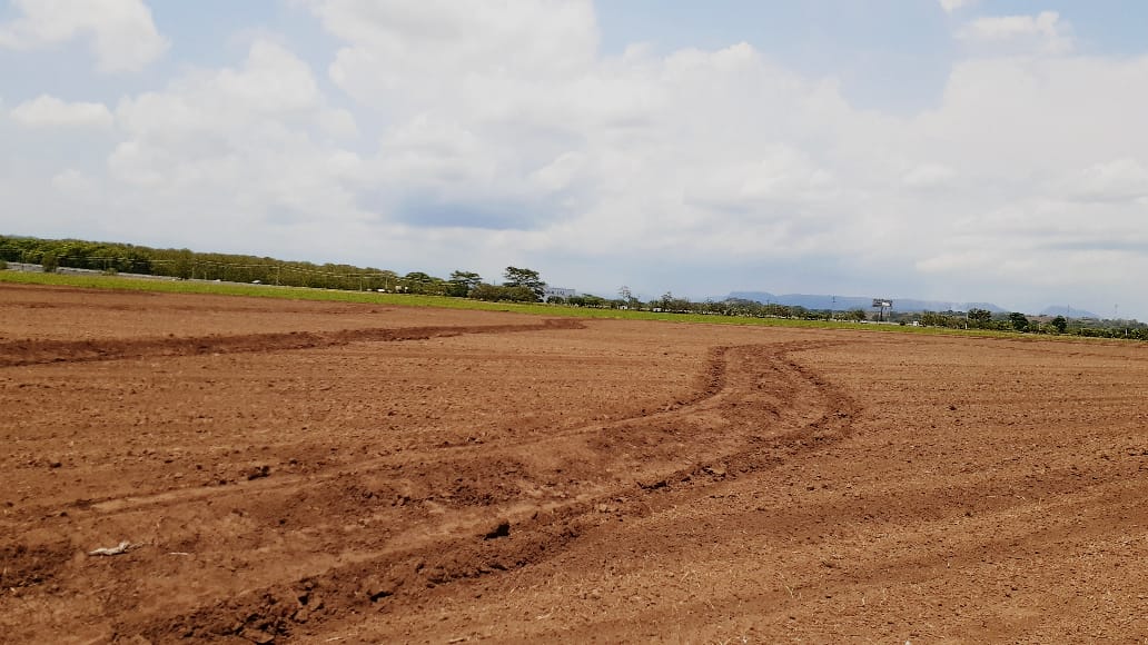 Semillas Certificadas | Conagro Semillas